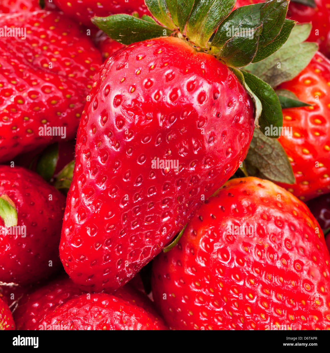 many fresh red strawberries close up Stock Photo - Alamy
