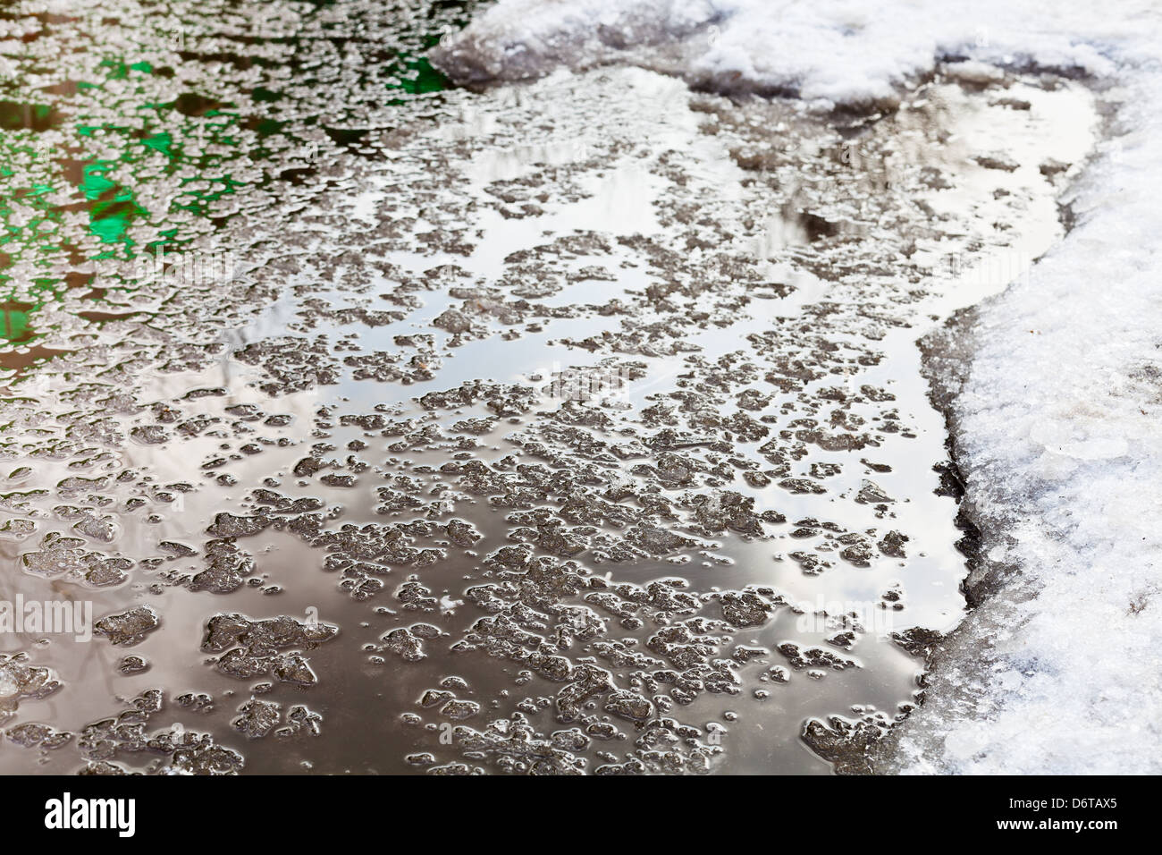puddle from melting snow in spring Stock Photo - Alamy