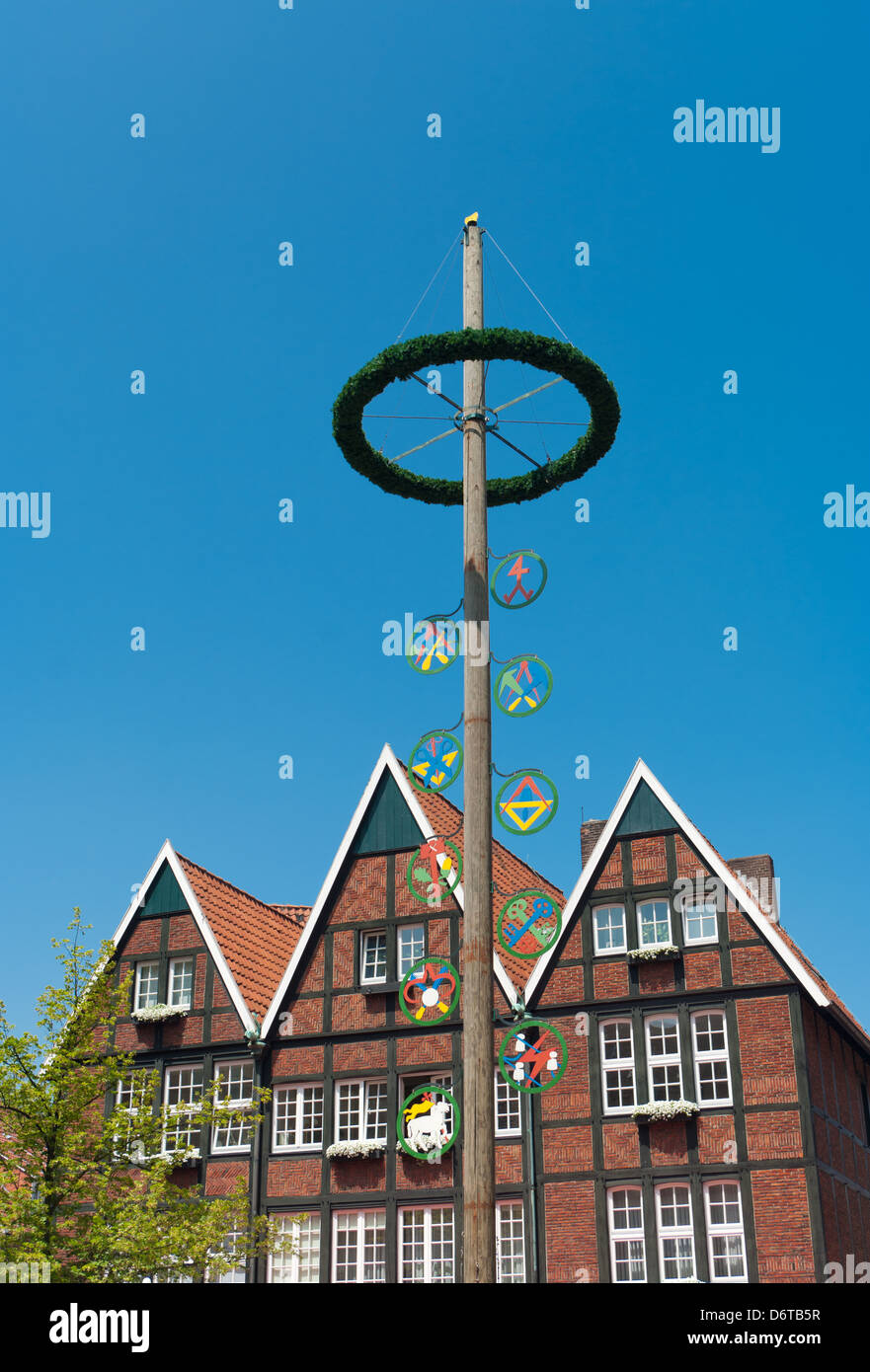 traditional maypole in munster, germany Stock Photo - Alamy