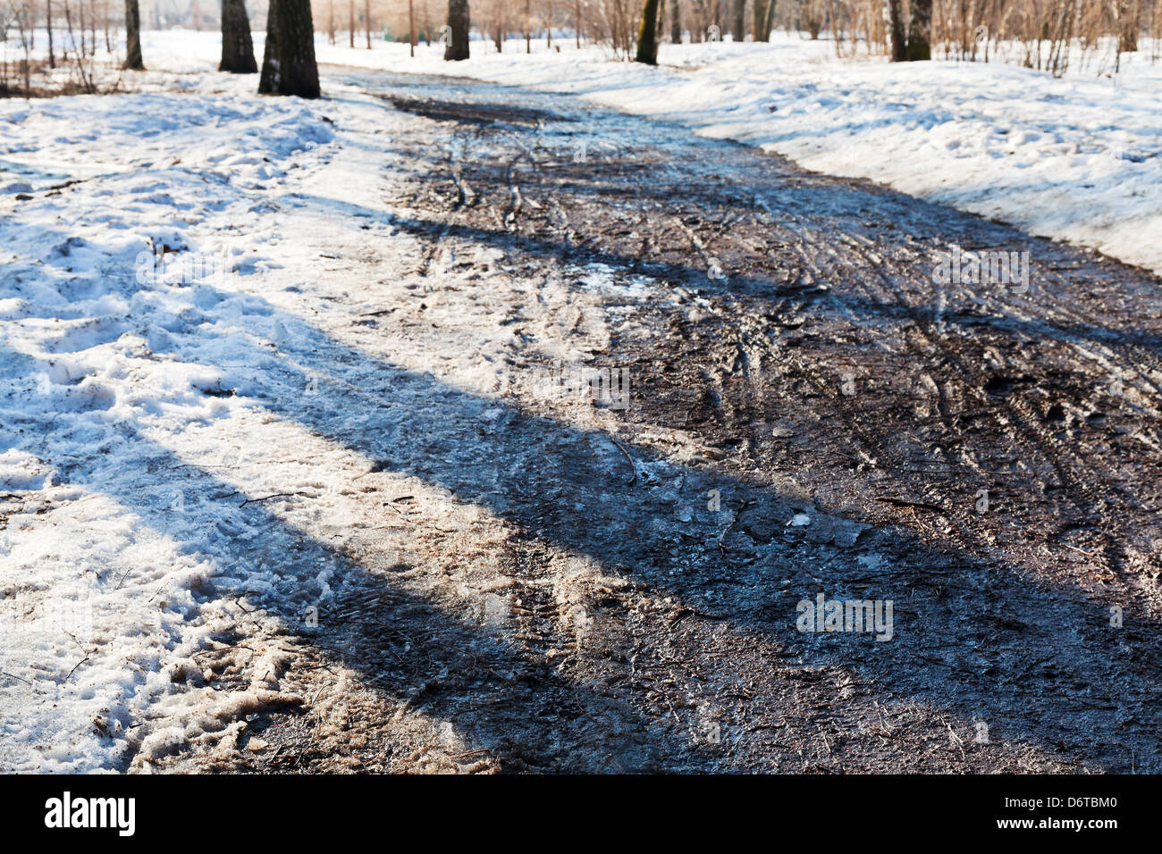 bad wet dirt road in early spring forest Stock Photo - Alamy