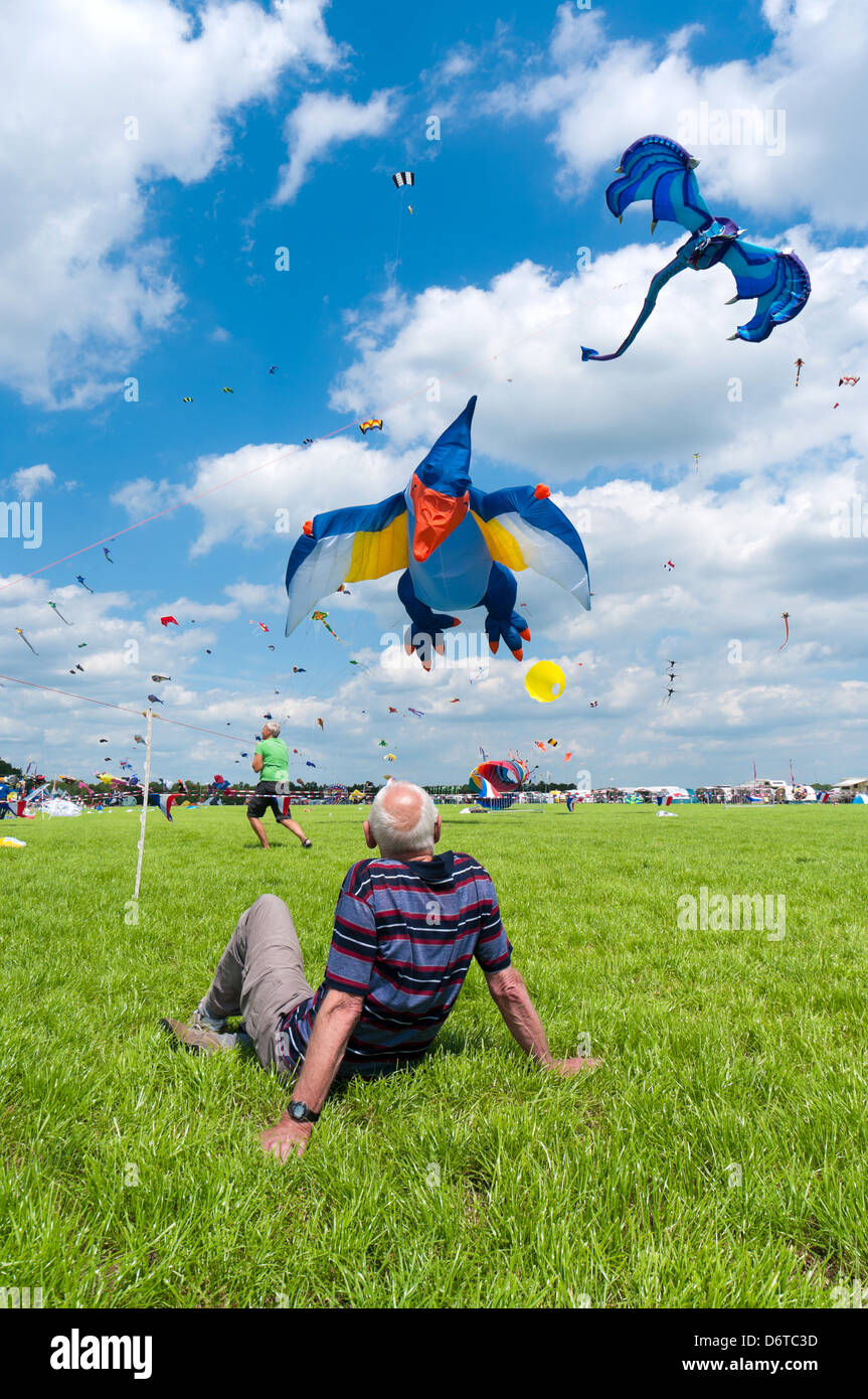 Large kites hi-res stock photography and images - Alamy