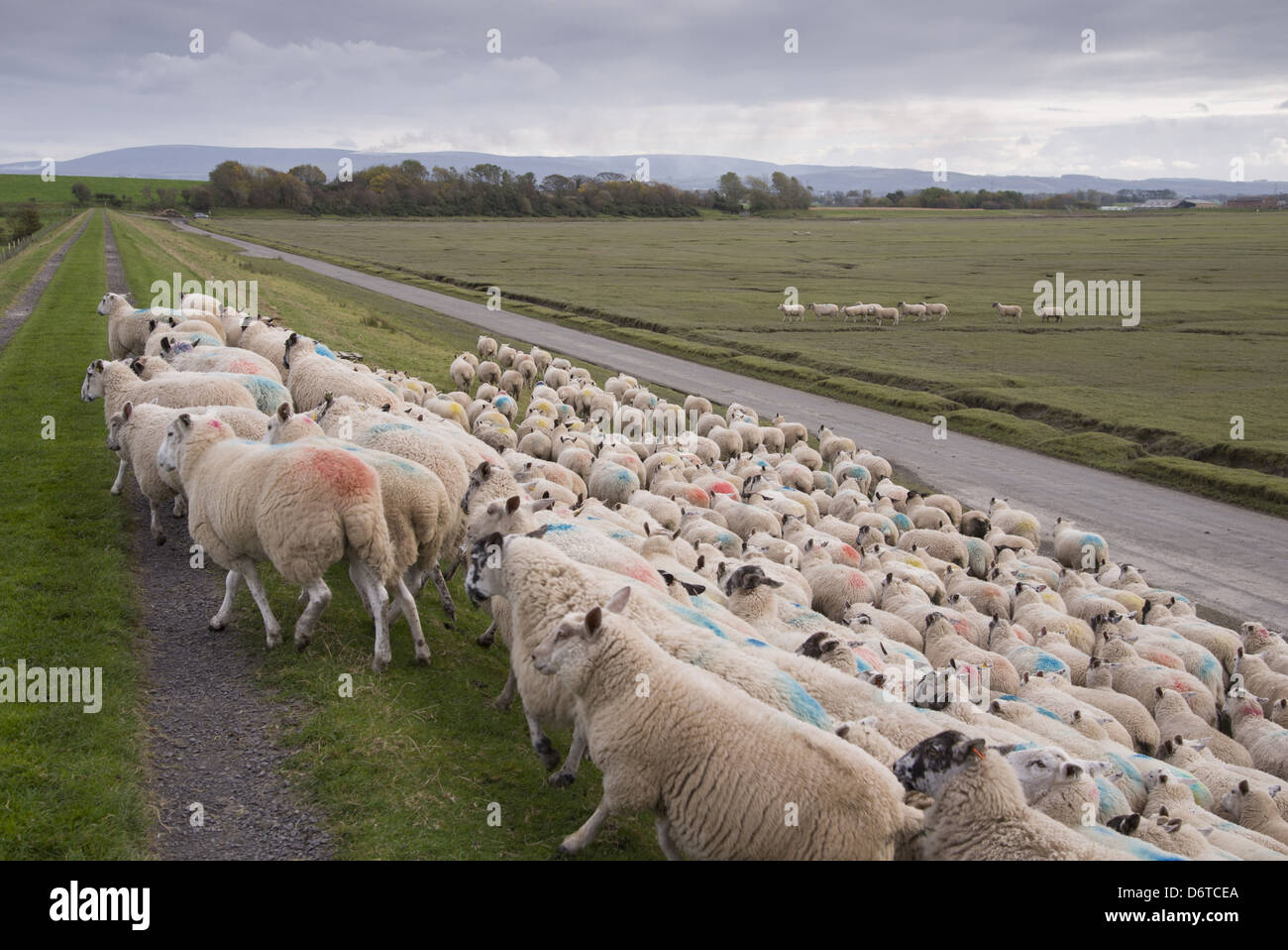 Bank end lancashire hi-res stock photography and images - Alamy
