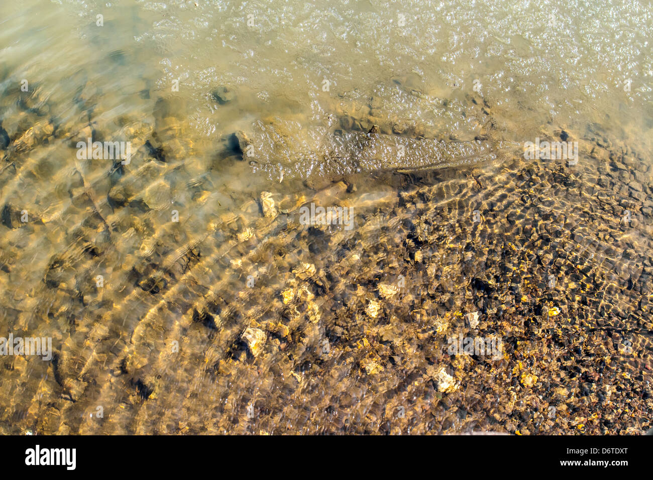 Thin water ripples hi-res stock photography and images - Alamy