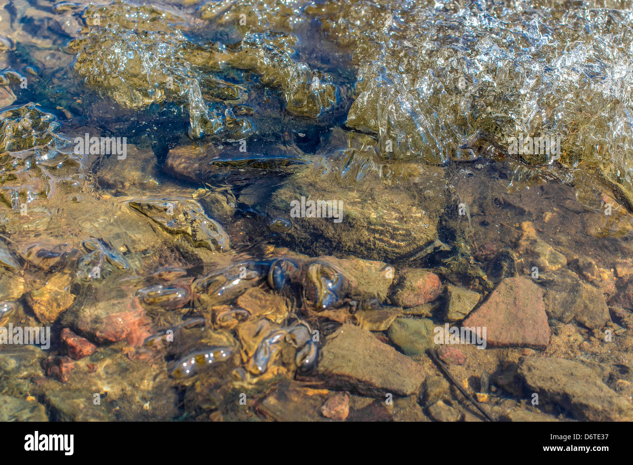 Thin water ripples hi-res stock photography and images - Alamy