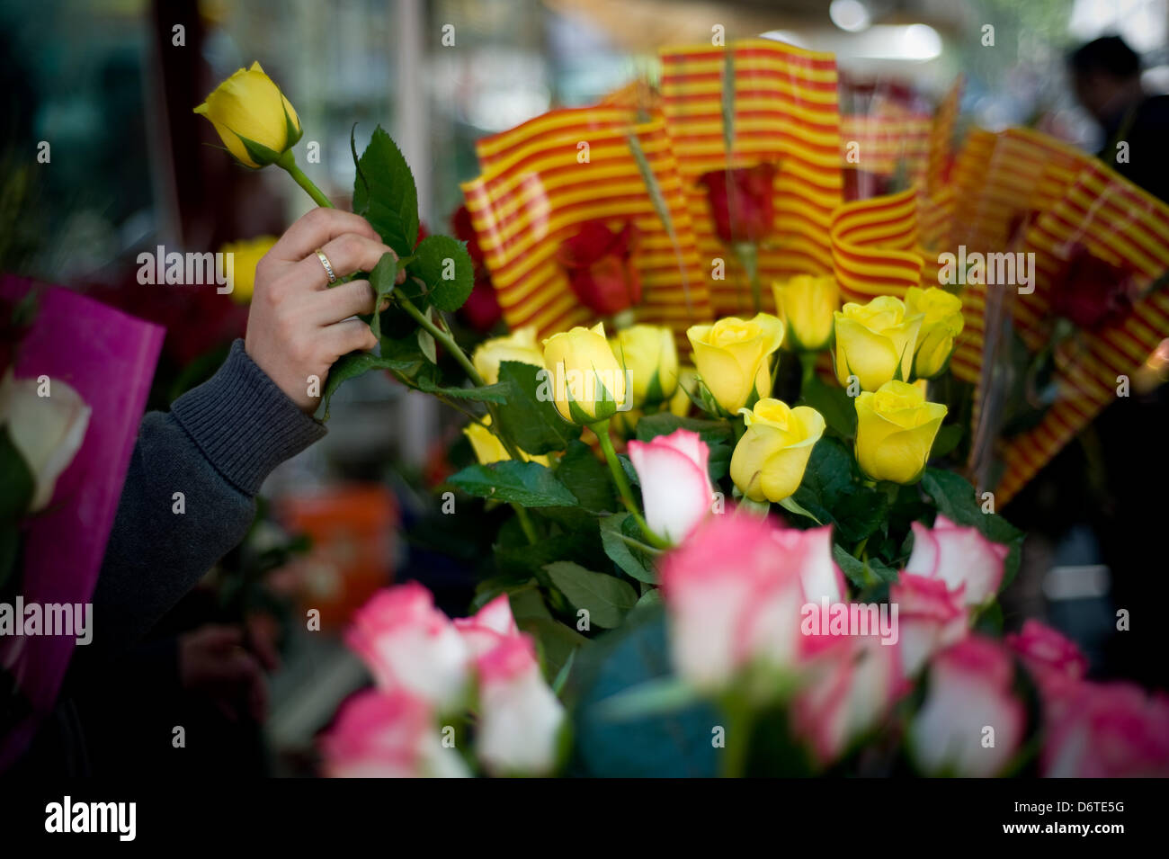 La Rambla, Barcelona, Spain. 23rd April, 2013. Roses stall. The ...