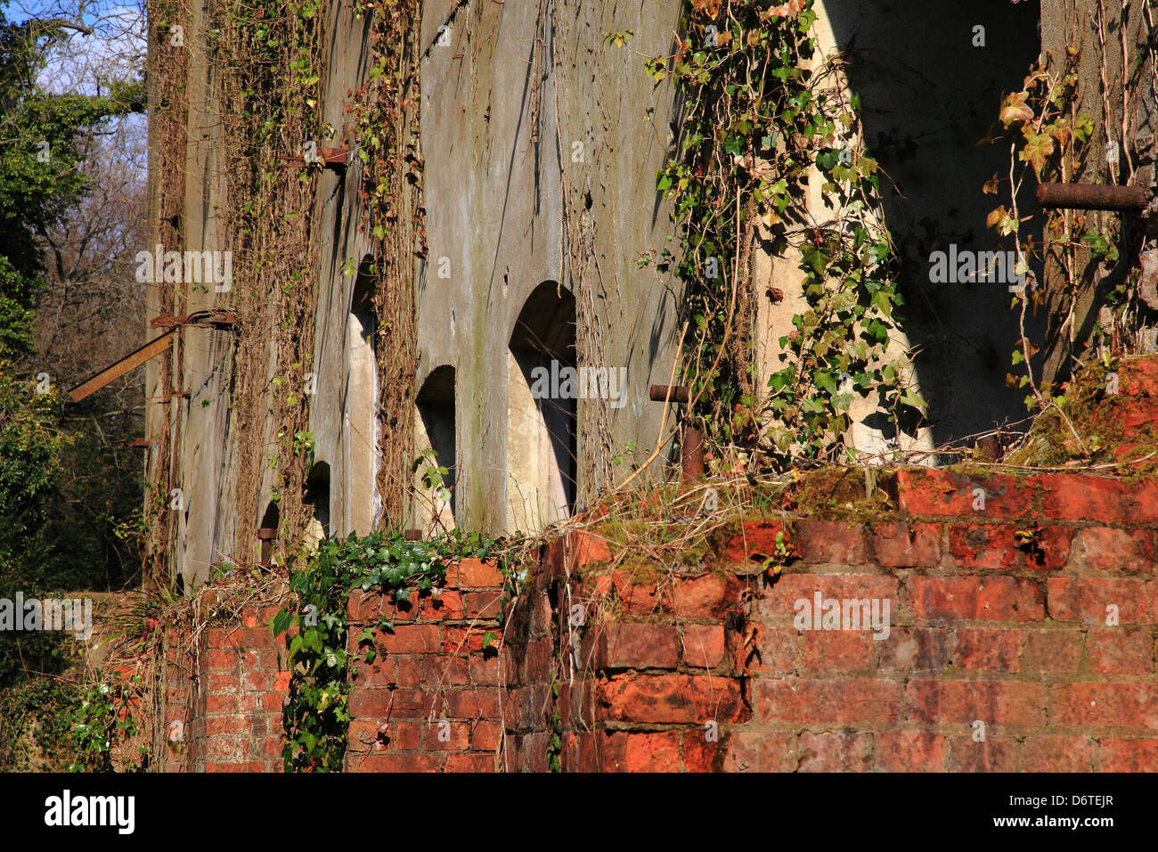 Chilworth Gunpowder mill ruins, Surrey, England Stock Photo - Alamy