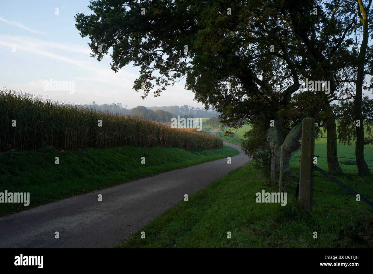 Quiet country farming road hi-res stock photography and images - Alamy