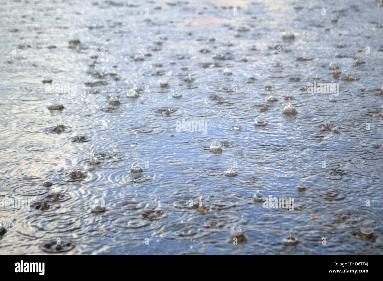 powerful raindrops splashes on the wet pavement Stock Photo - Alamy