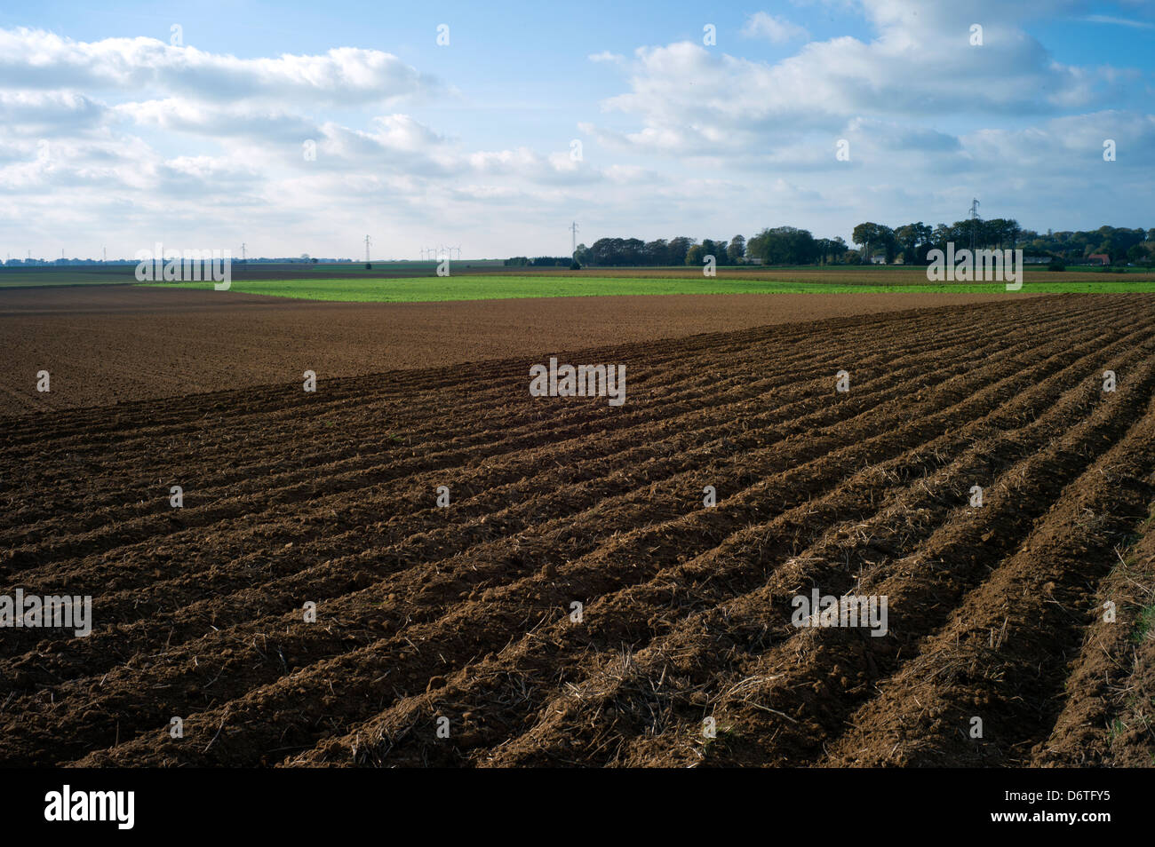 Potato growing france hi-res stock photography and images - Alamy
