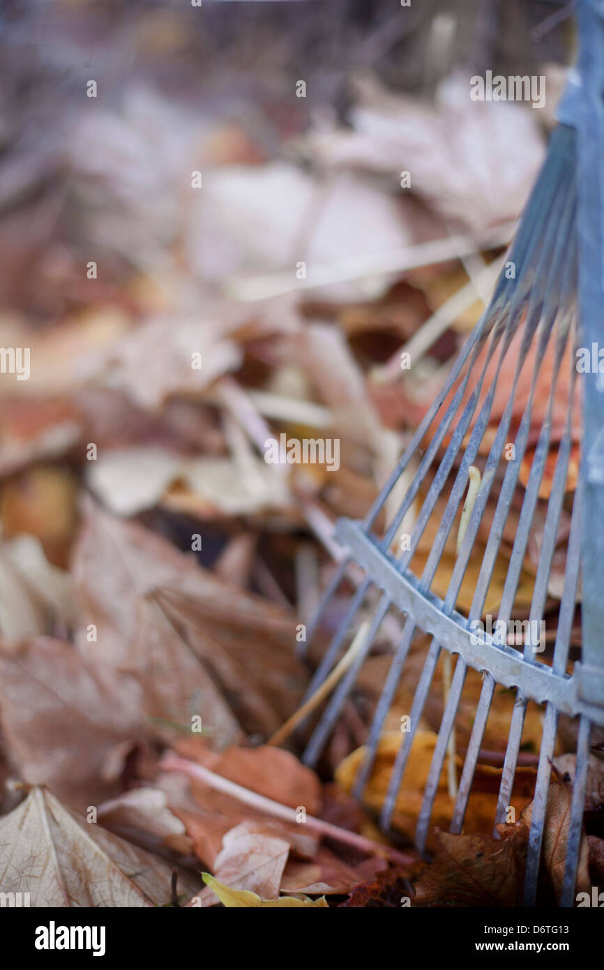 Autumn leaves in the garden raked up Stock Photo - Alamy
