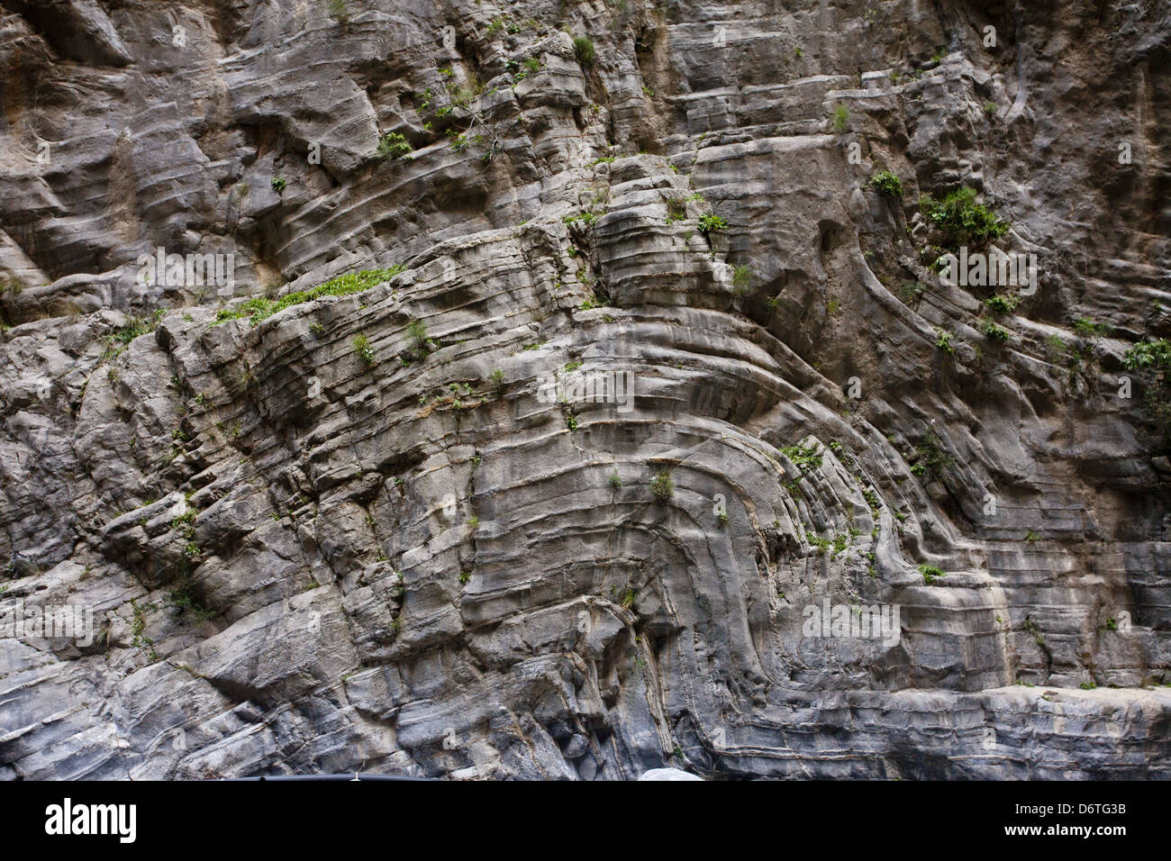 Folded strata in high limestone cliffs, Samaria Gorge N.P., White ...