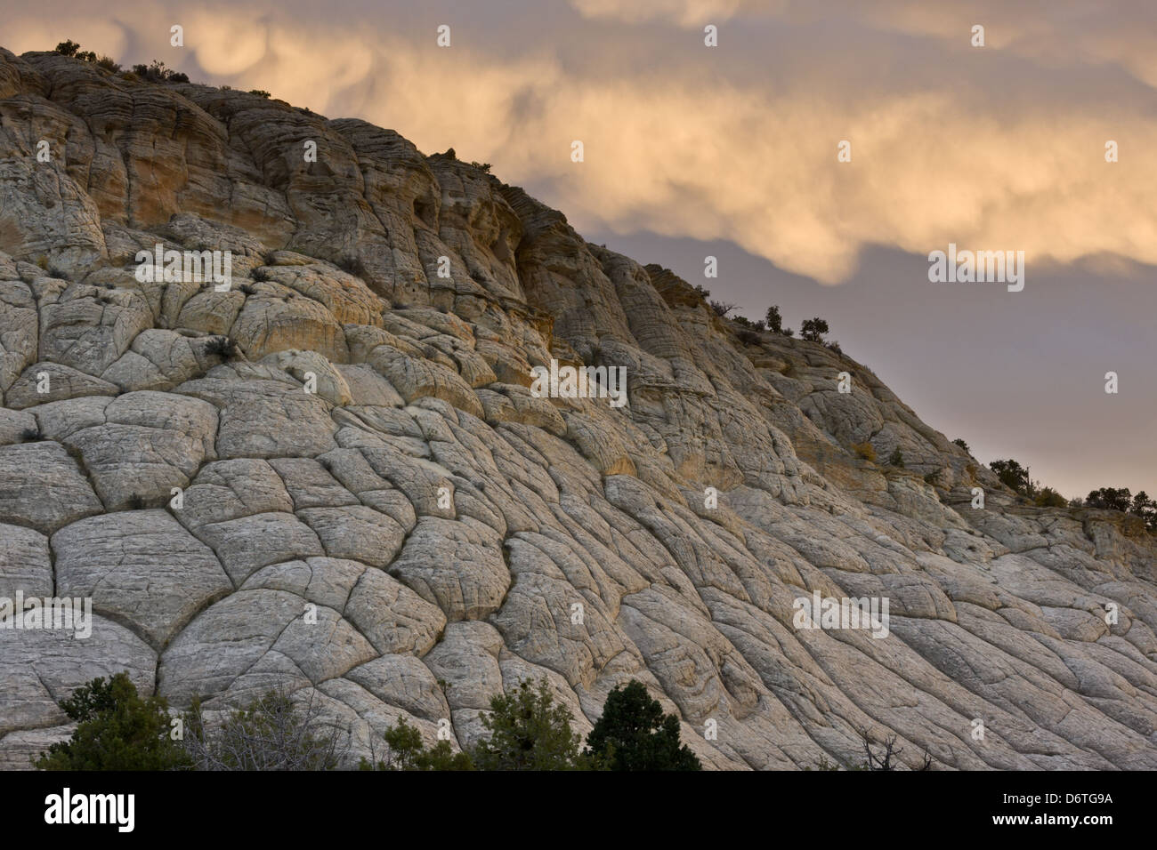 Spectacular cross-bedded Navajo sandstone rock fossilised sand dunes ...