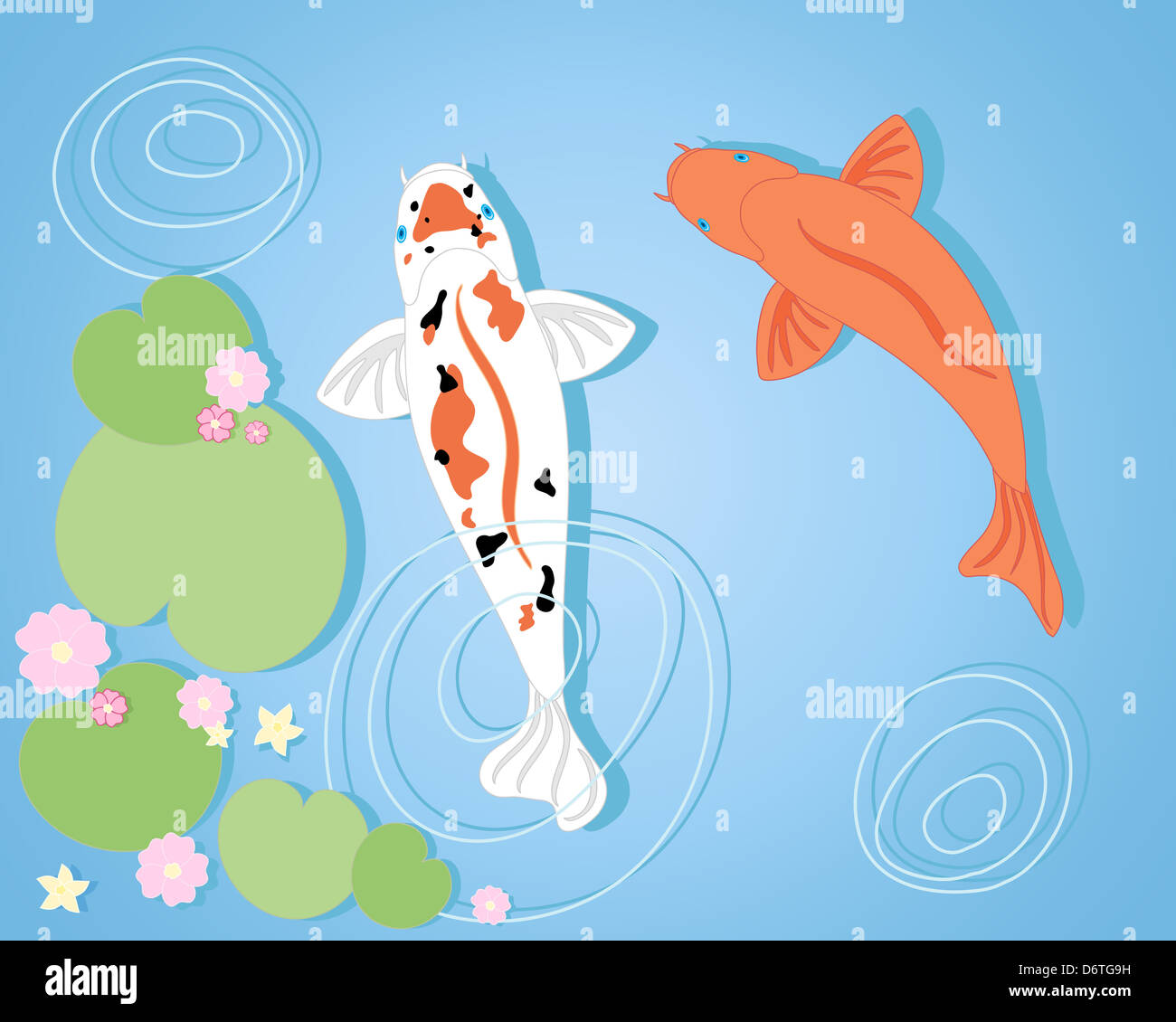 an illustration of two colorful koi carp swimming in a pool with ...