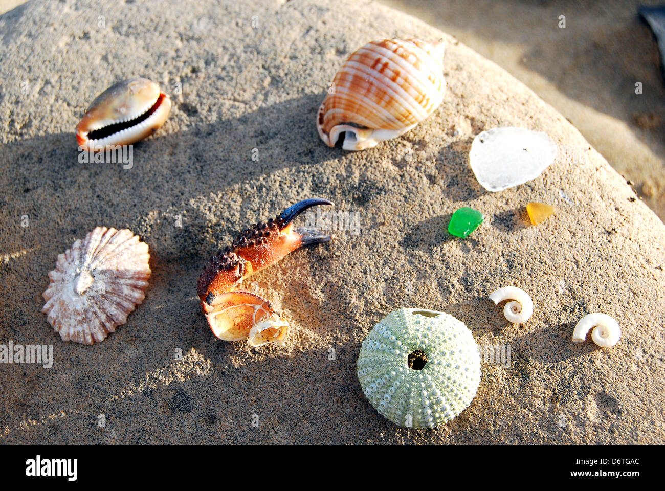 Where you find beautiful beaches hi-res stock photography and images ...
