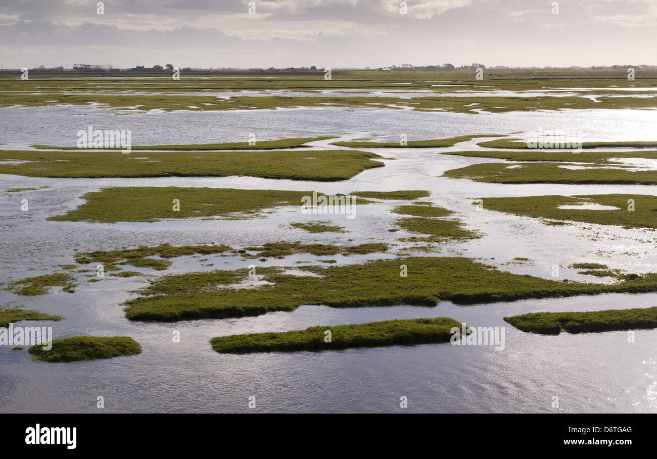 Sea covering saltmarsh habitat, Bank End Farm, Cockerham, Lancashire ...