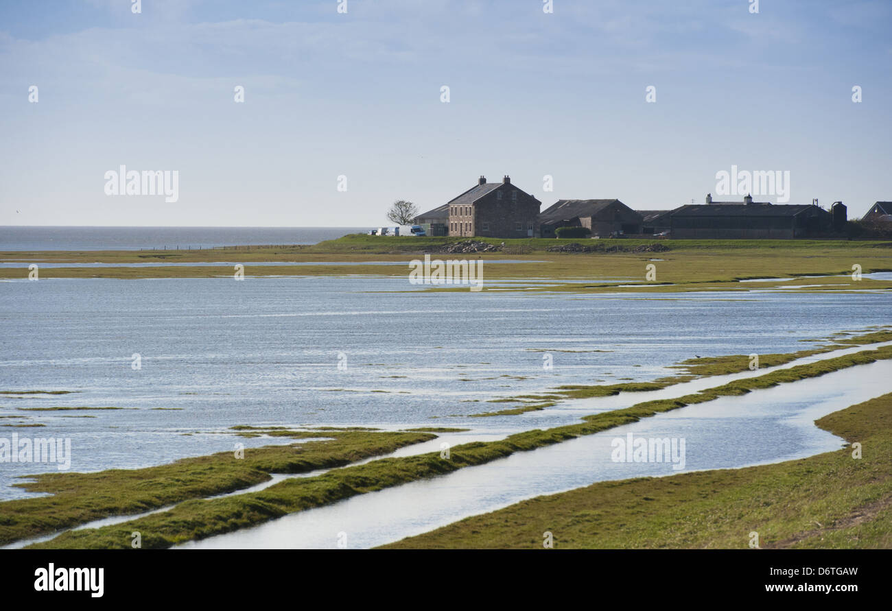 Bank end farm hi-res stock photography and images - Alamy