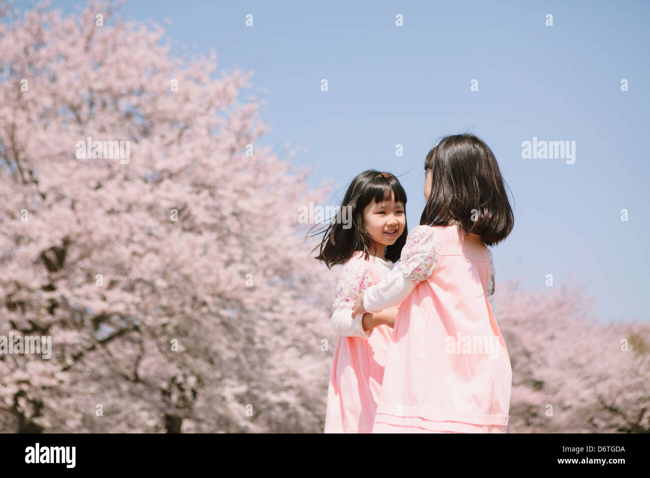 Twins trees hi-res stock photography and images - Alamy