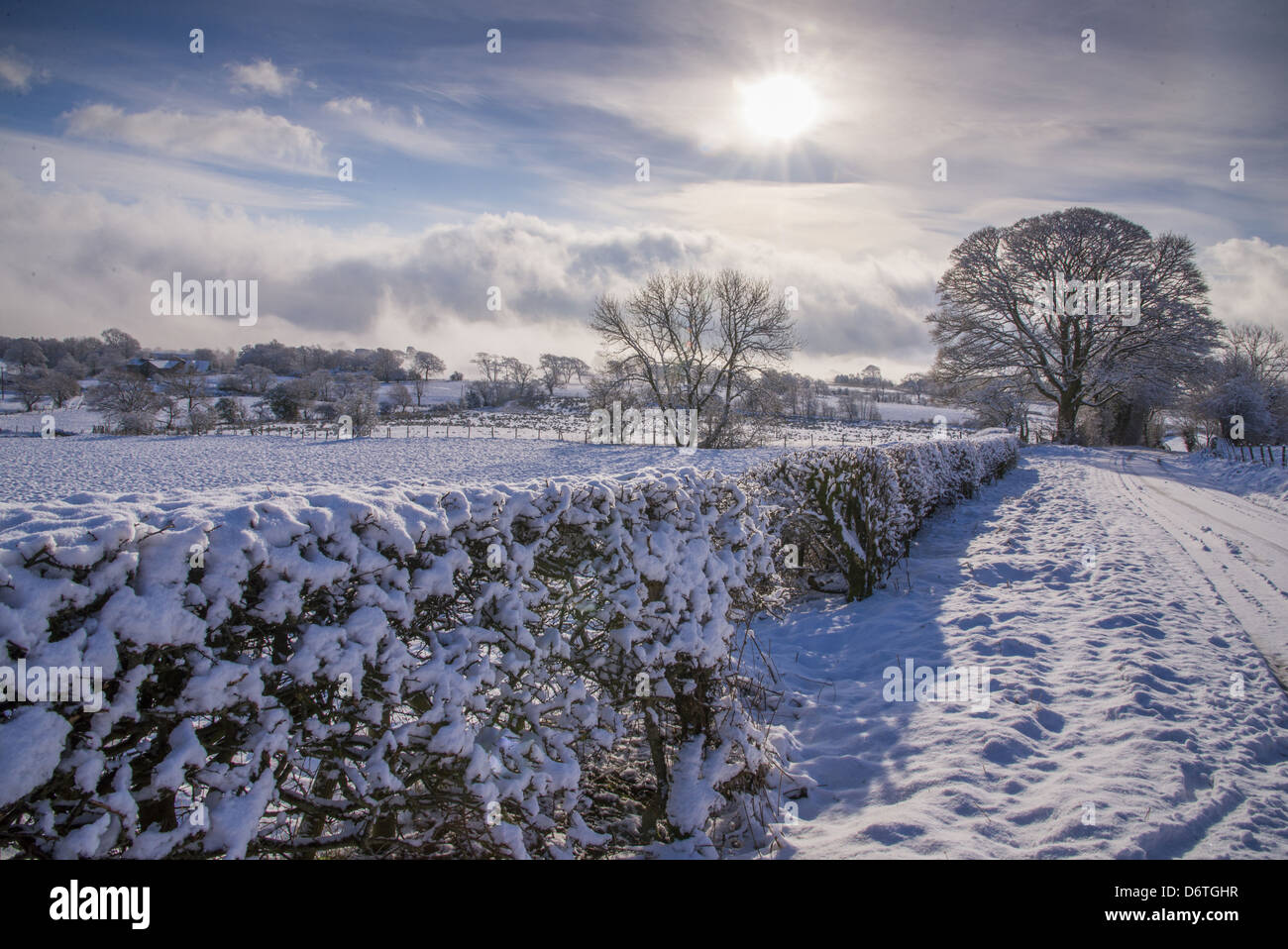 View of hedgerow and farmland covered with snow, Whitewell, Clitheroe ...