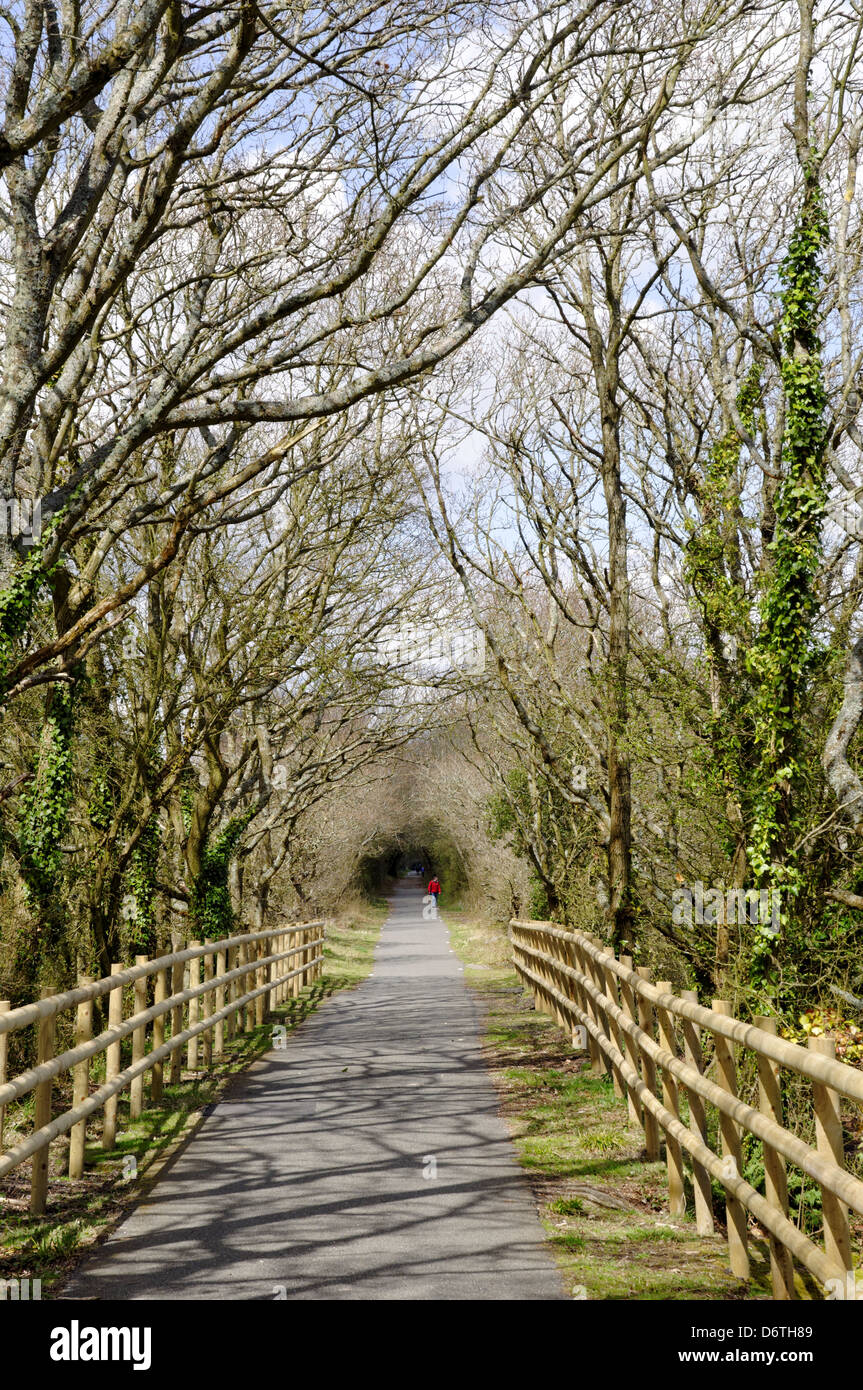 Old Railway Line, Cycle Path from Newport to Cowes, Isle of Wight ...