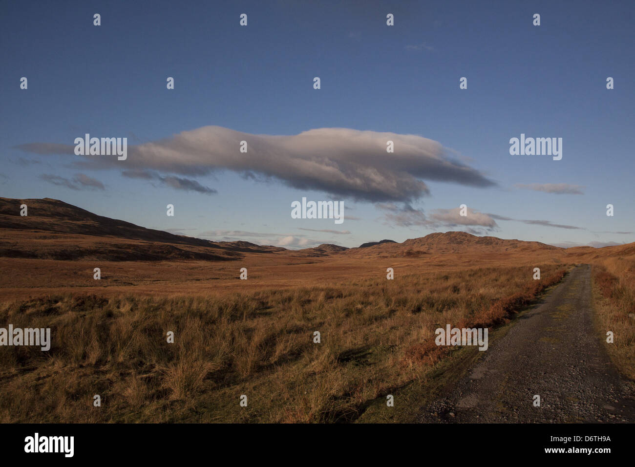 1984 by george orwell barnhill hi-res stock photography and images - Alamy