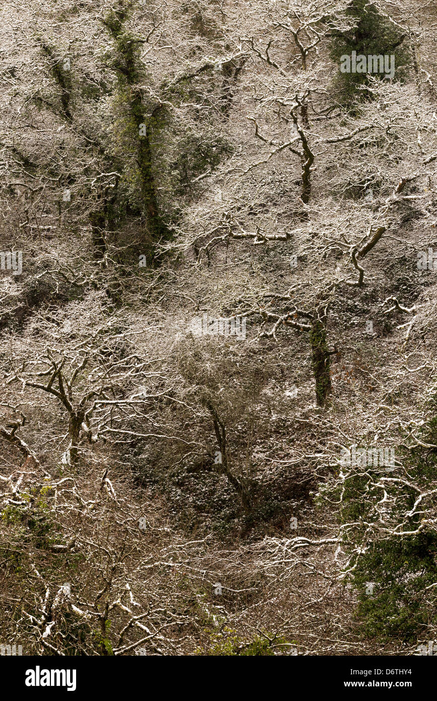 Entangled hi-res stock photography and images - Alamy