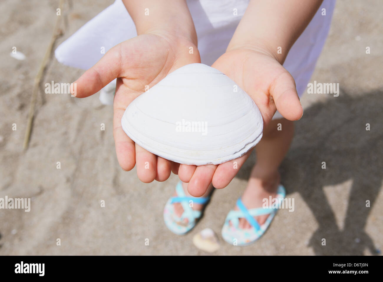 Young girl showing a shell on the beach Stock Photo - Alamy