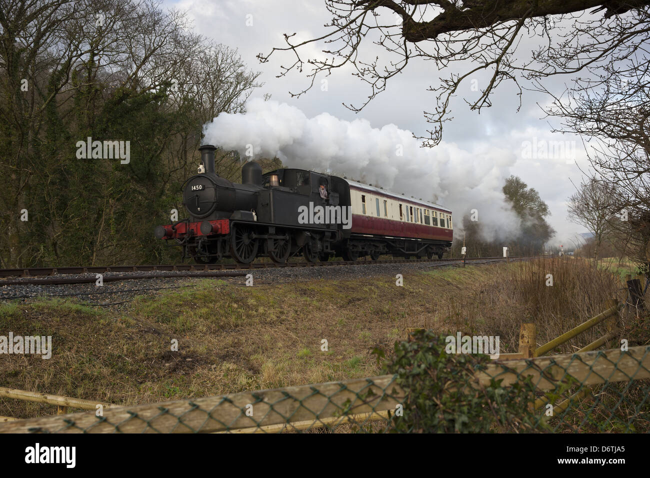 South Devon Steam Railway Stock Photo - Alamy