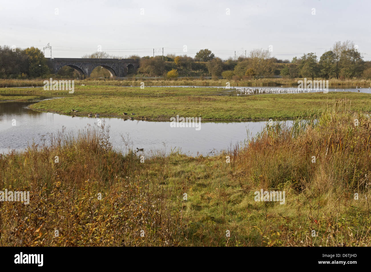 View of flooded former gravel pit habitat, Marsh Lane Nature Reserve ...