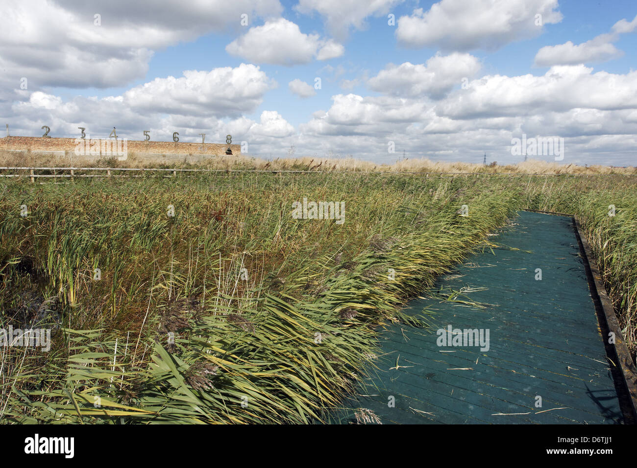 View boardwalk reedbeds shooting butts former military firing range in ...