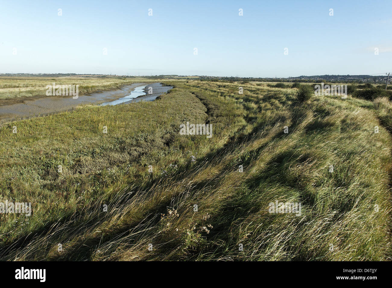 Western Marshlands England