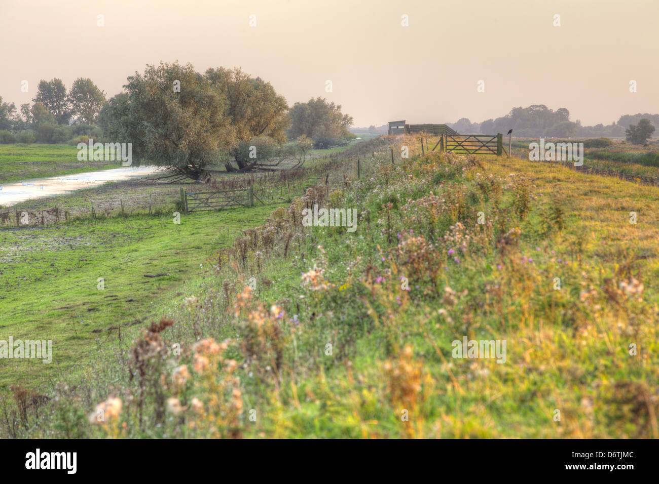 View along flood embankment on wetland nature reserve towards ...