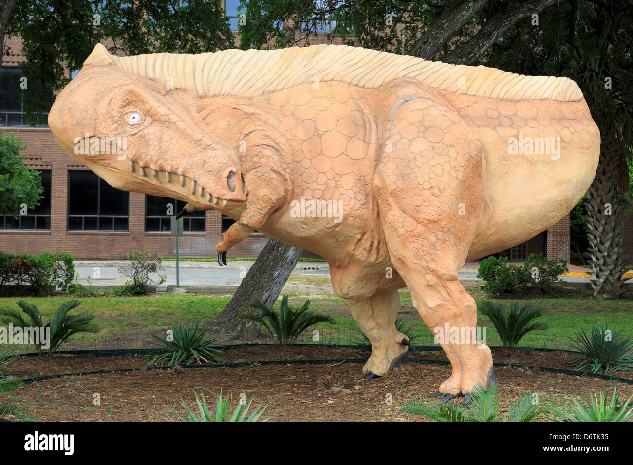 USA, Texas, San Antonio, Witte Museum Stock Photo - Alamy