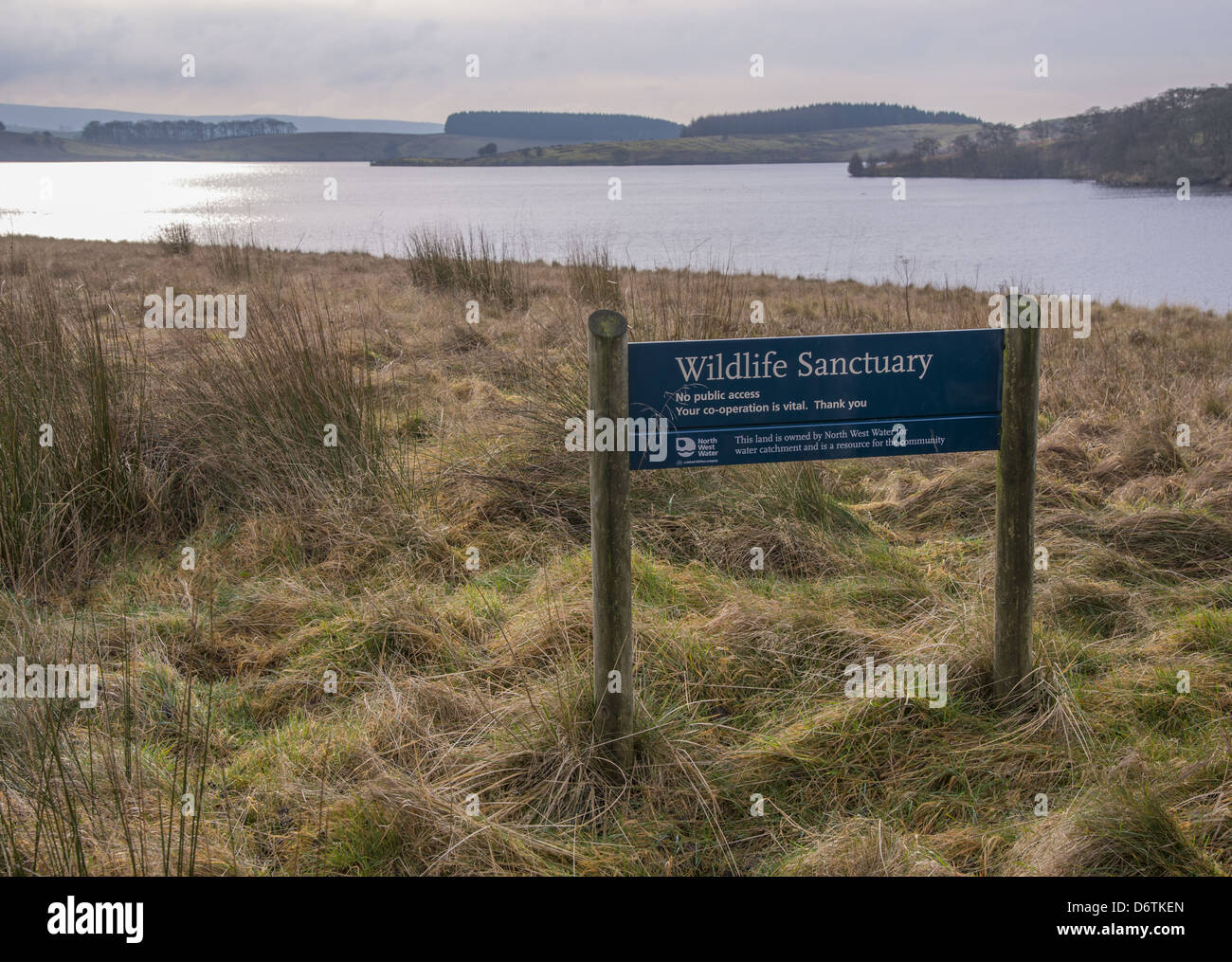 Wildlife Sanctuary' sign edge reservoir Stocks Reservoir Gisburn Forest ...
