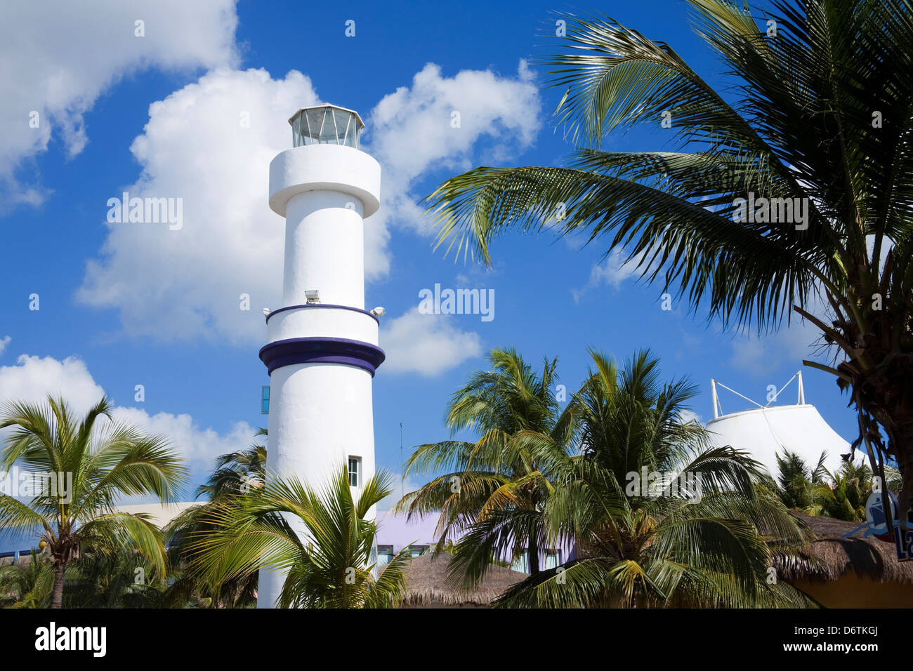 Palm trees in front of a shopping mall, Punta Langosta, San Miguel ...