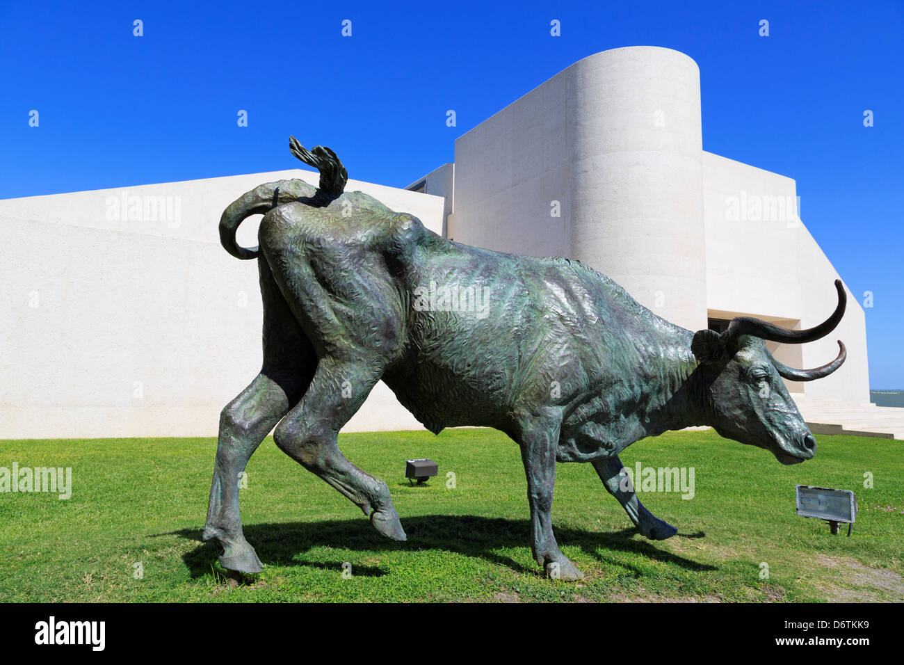 Statue of bull outside a museum, Art Museum of South Texas, Corpus ...