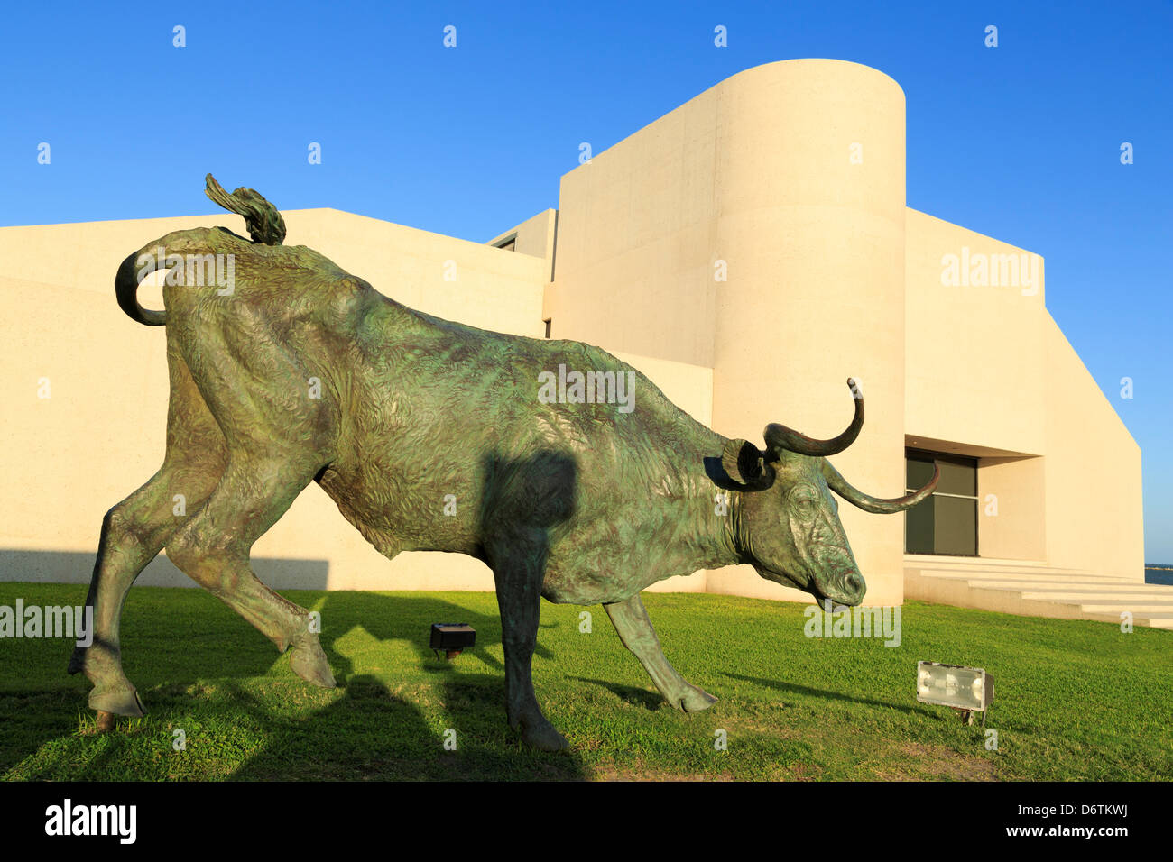 Texas animal shadow hi-res stock photography and images - Alamy