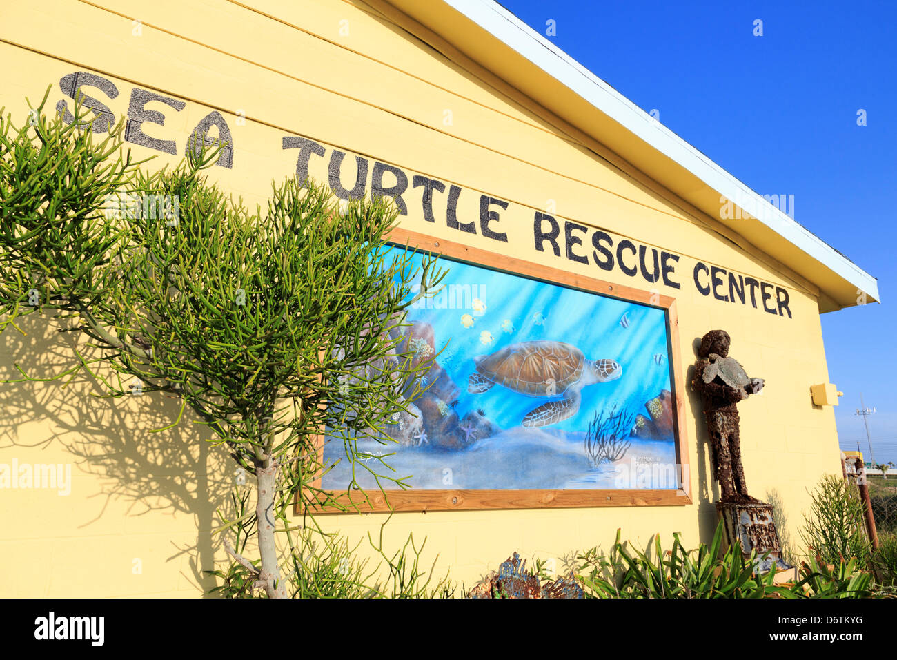 Turtle rescue texas hi-res stock photography and images - Alamy