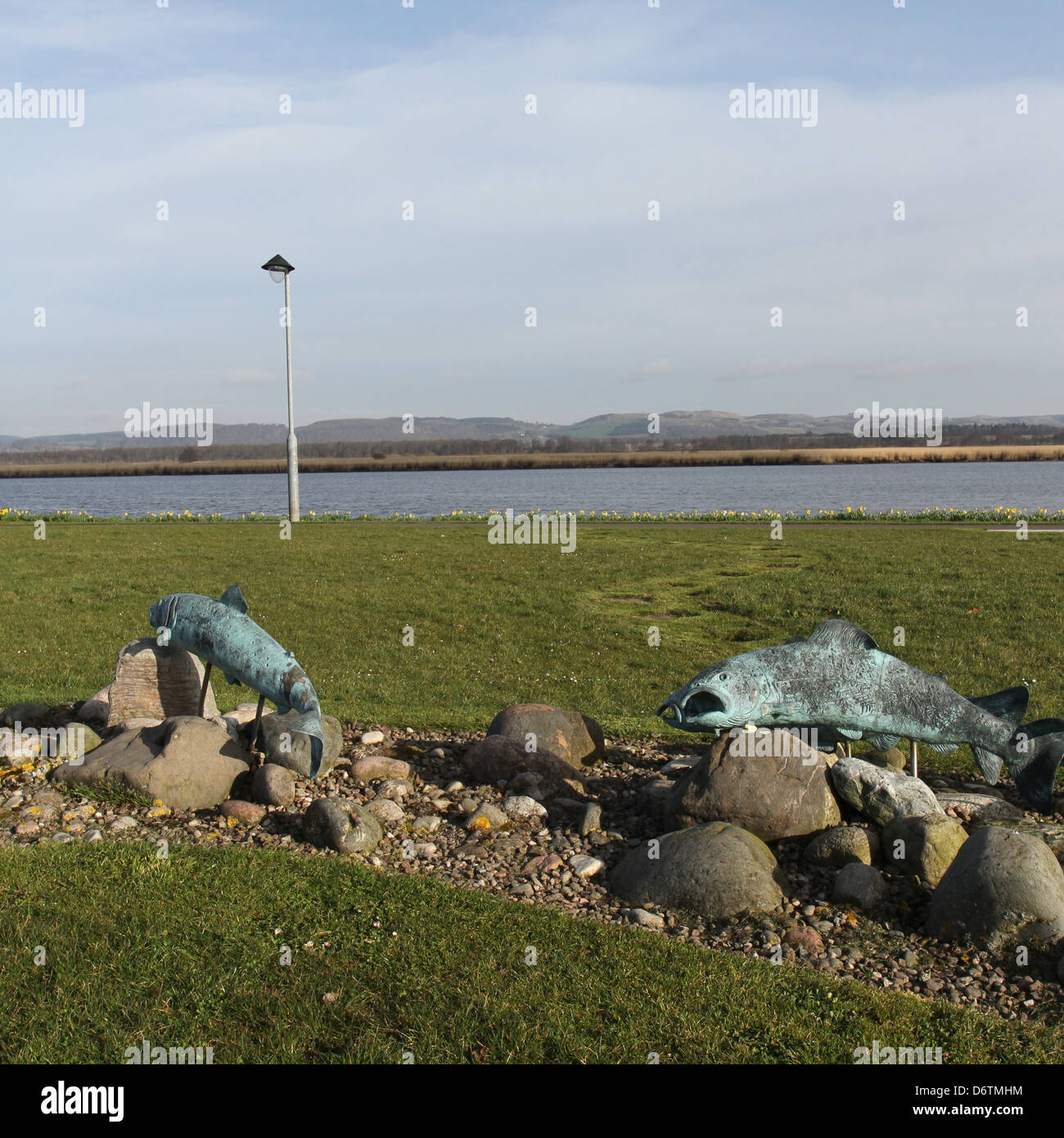 Salmon sculpture on banks of Tay Estuary Newburgh Fife Scotland April ...