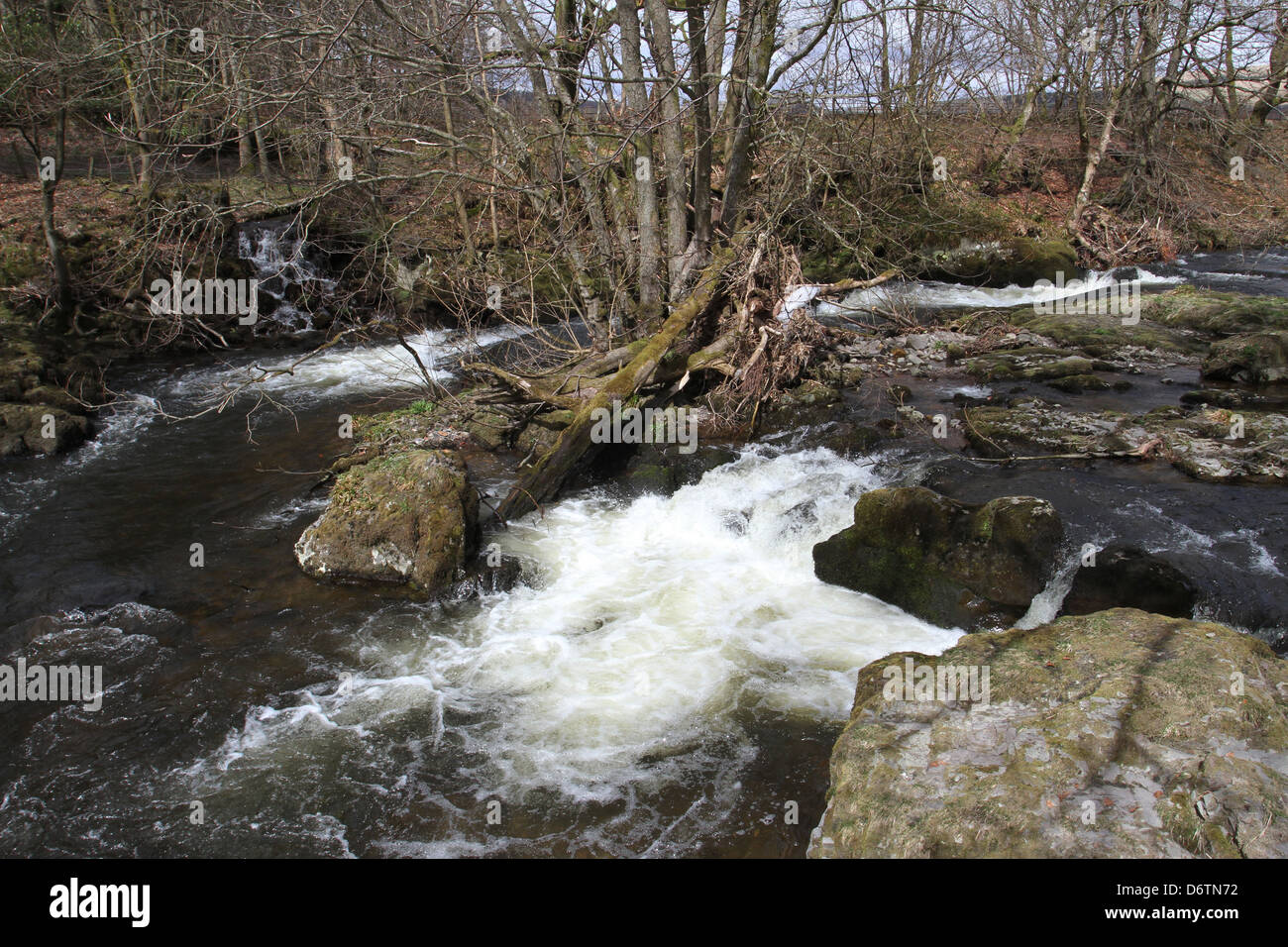 River Devon Rumbling Bridge Scotland April 2013 Stock Photo - Alamy
