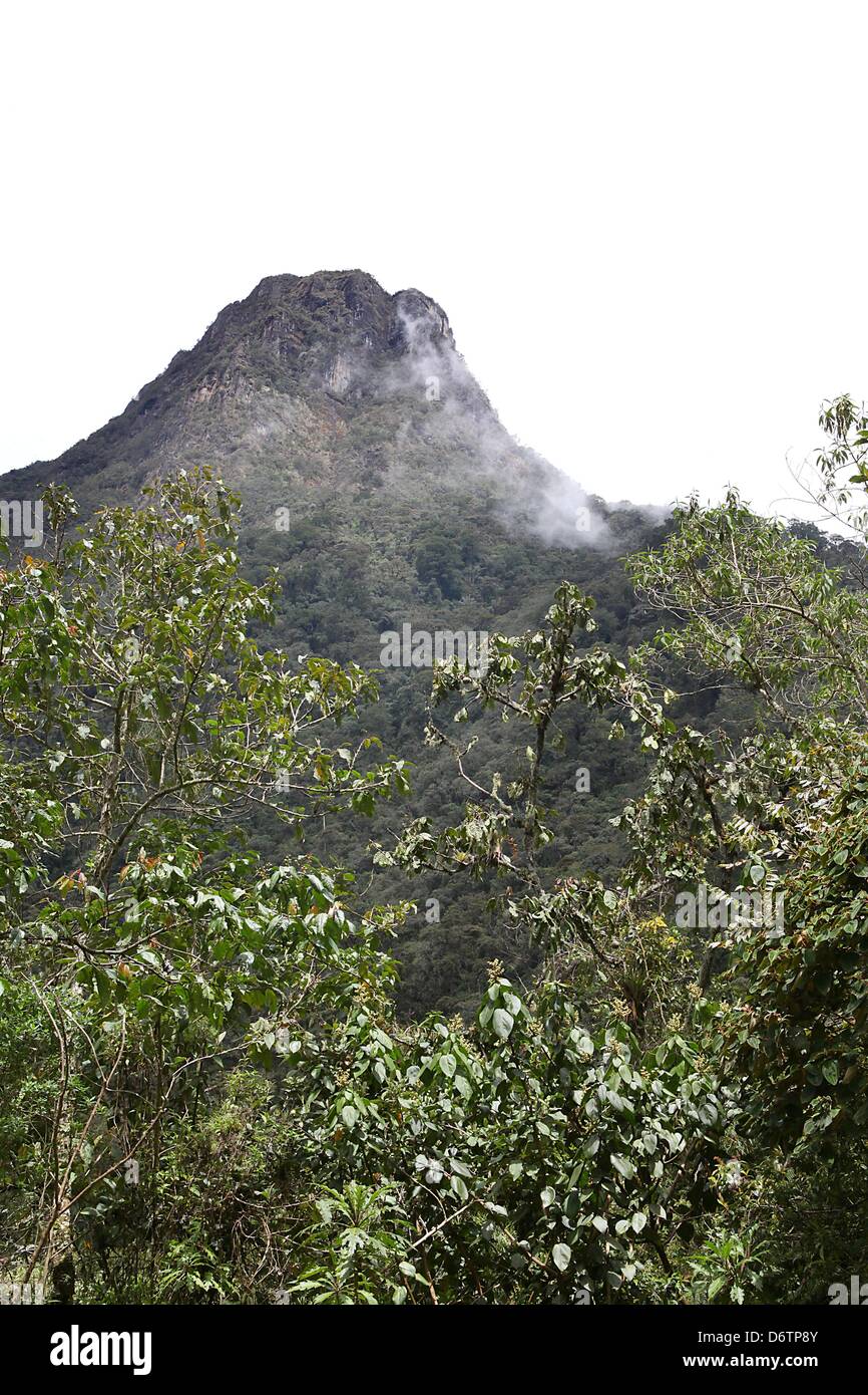 The rain forest in the south of Columbia. 53.2 million ha of the ...