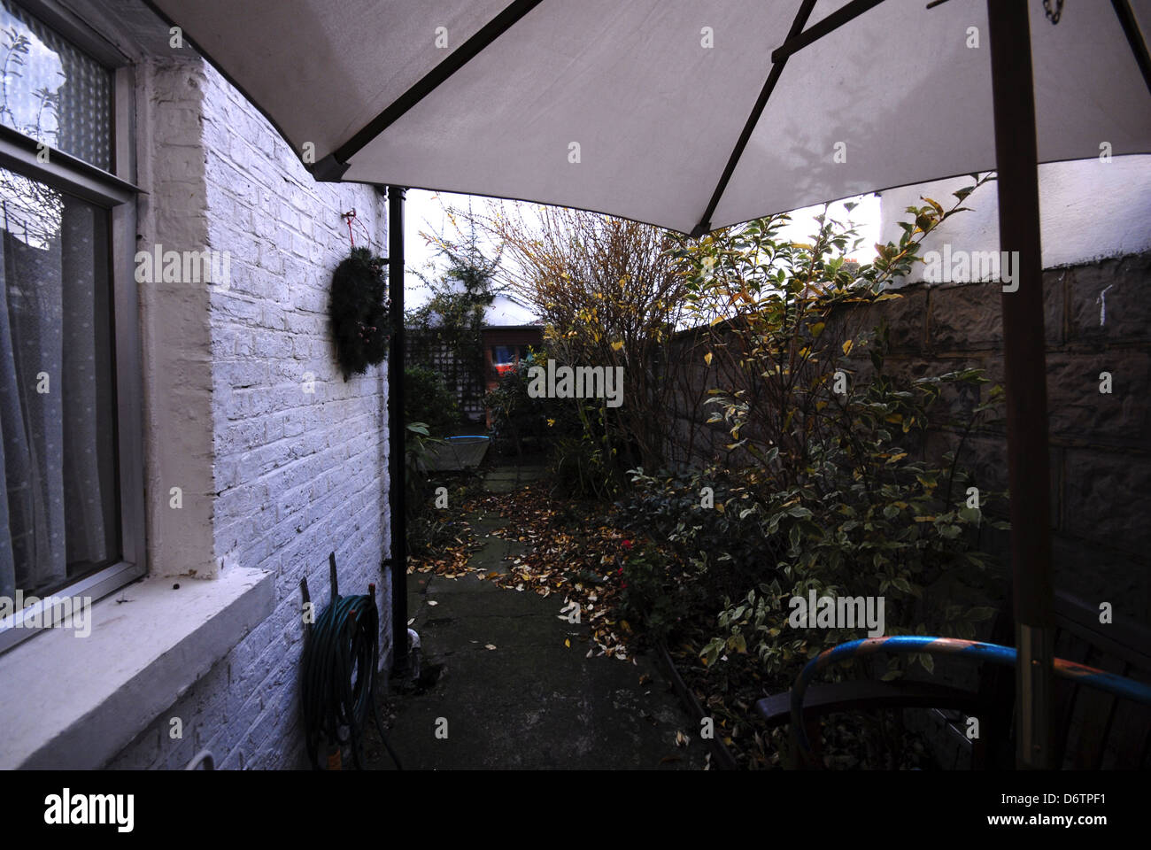 back garden, garden view Stock Photo - Alamy