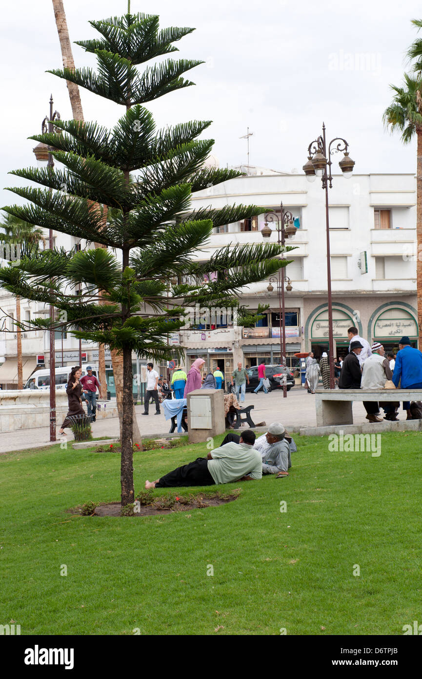 Folklore Africa Tree High Resolution Stock Photography and Images - Alamy