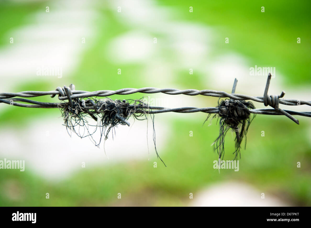 Grass ence hi-res stock photography and images - Alamy