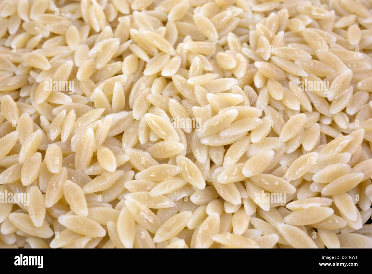 A very close view of freshly cooked orzo pasta Stock Photo - Alamy