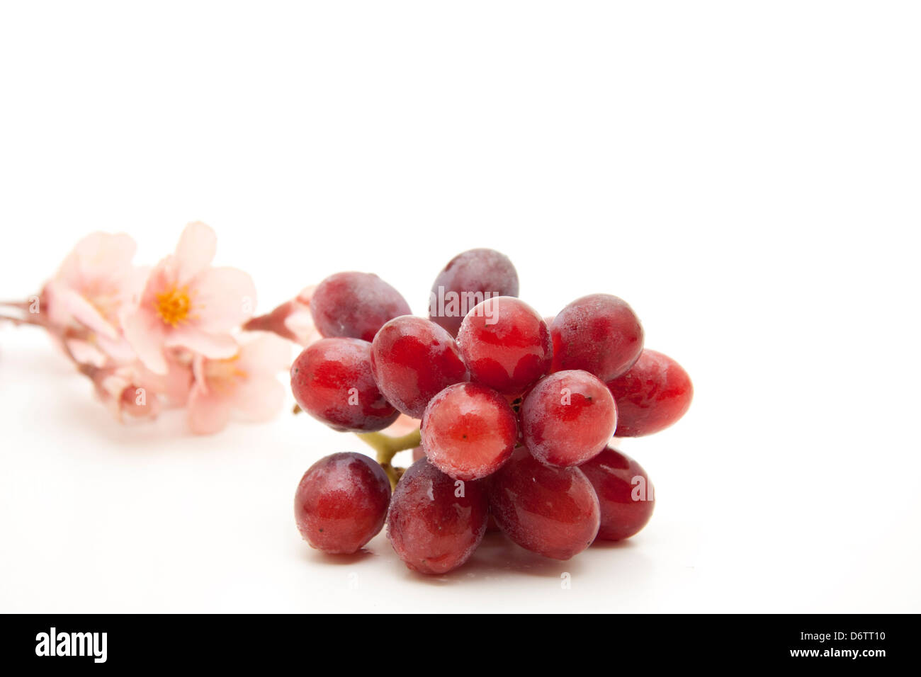 Grapes with blossoms Stock Photo - Alamy