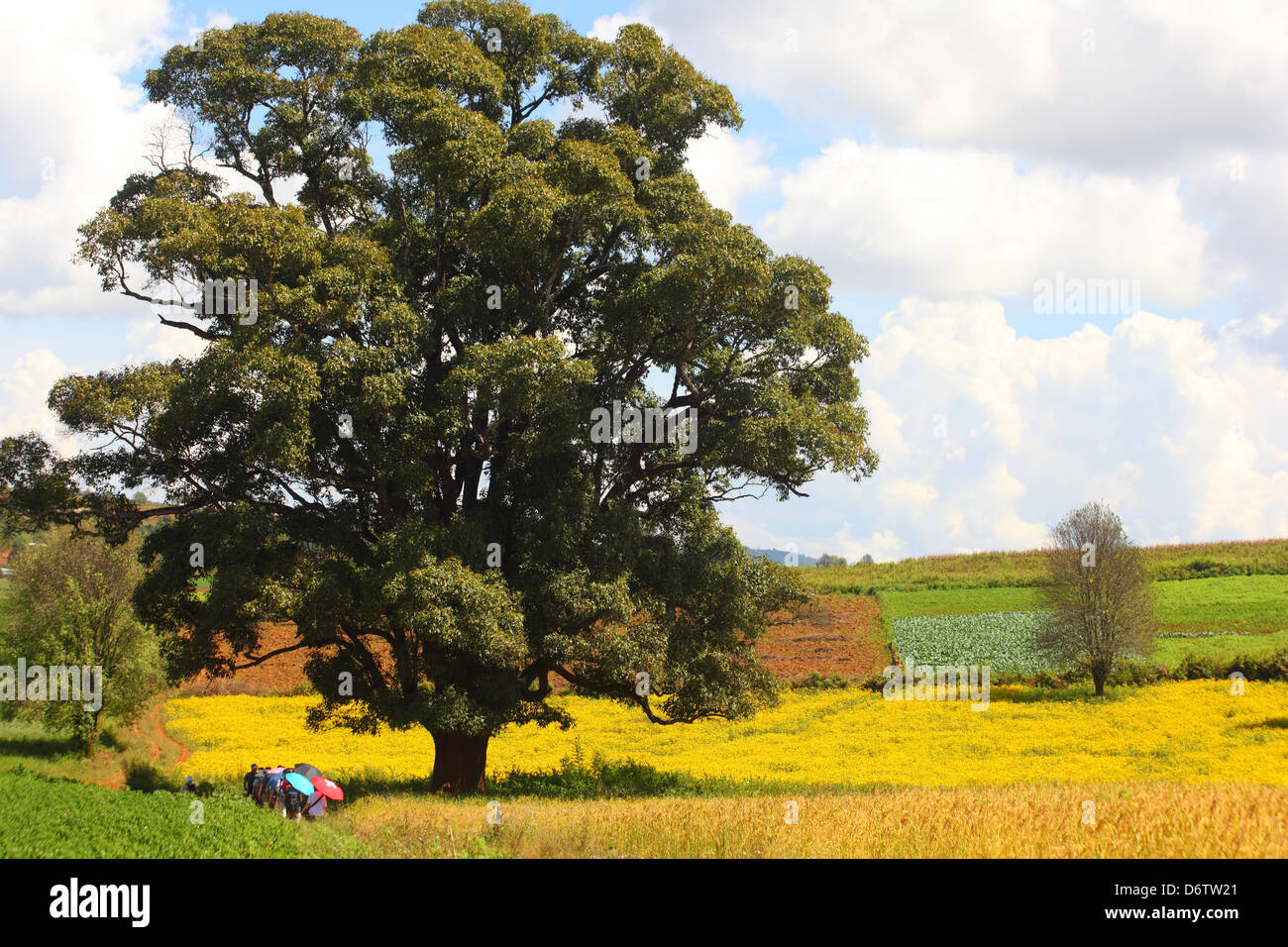 countryside in Burma / Myanmar Stock Photo - Alamy