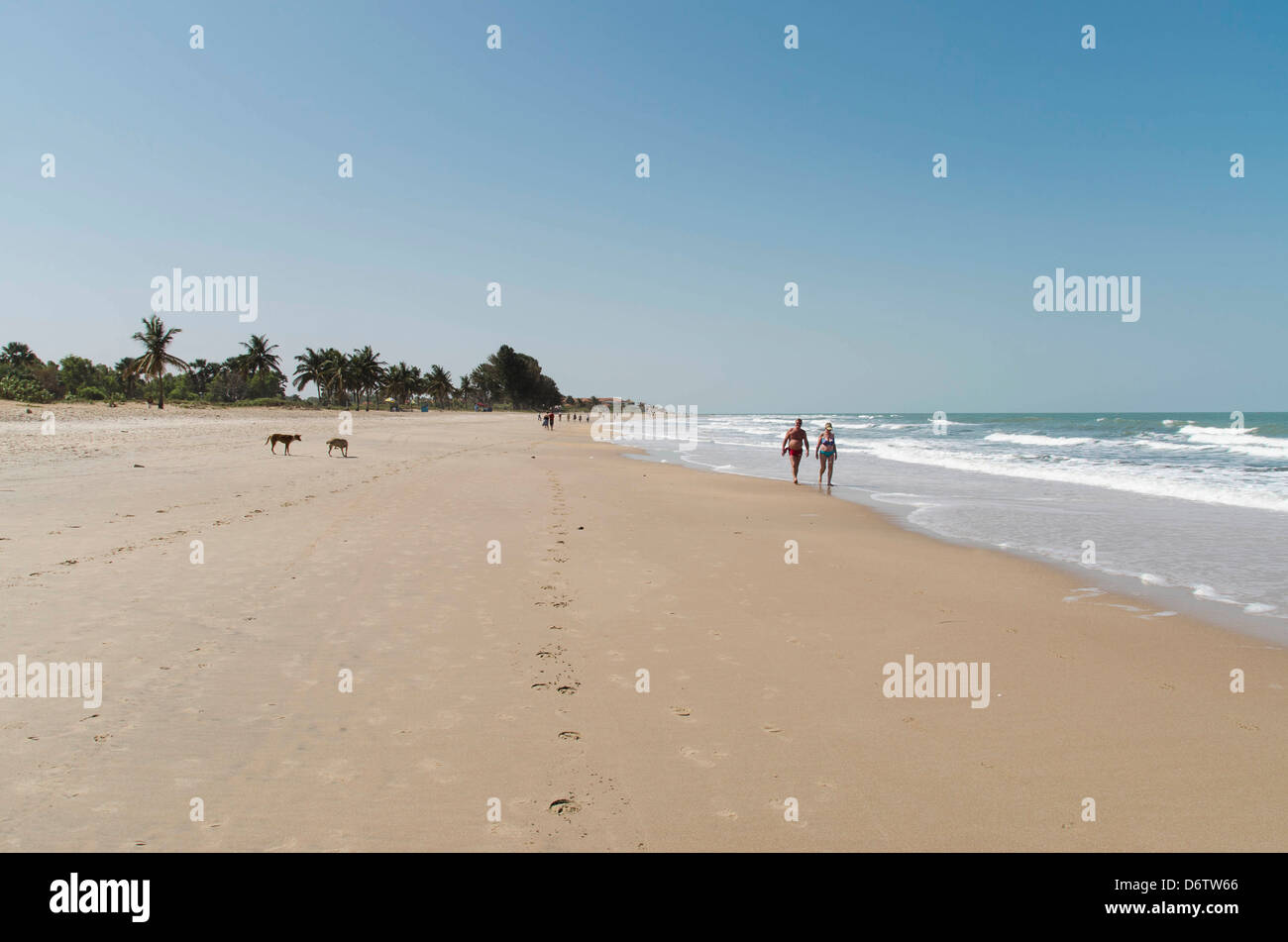 The beautiful and tranquil Kotu beach Gambia west Africa Stock Photo ...