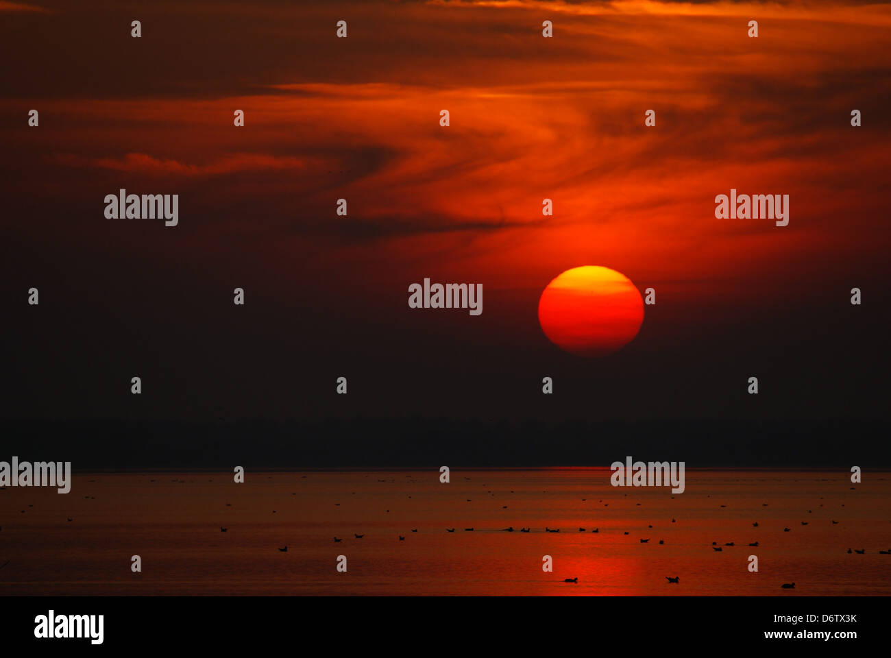 Sunset at the sea Stock Photo - Alamy