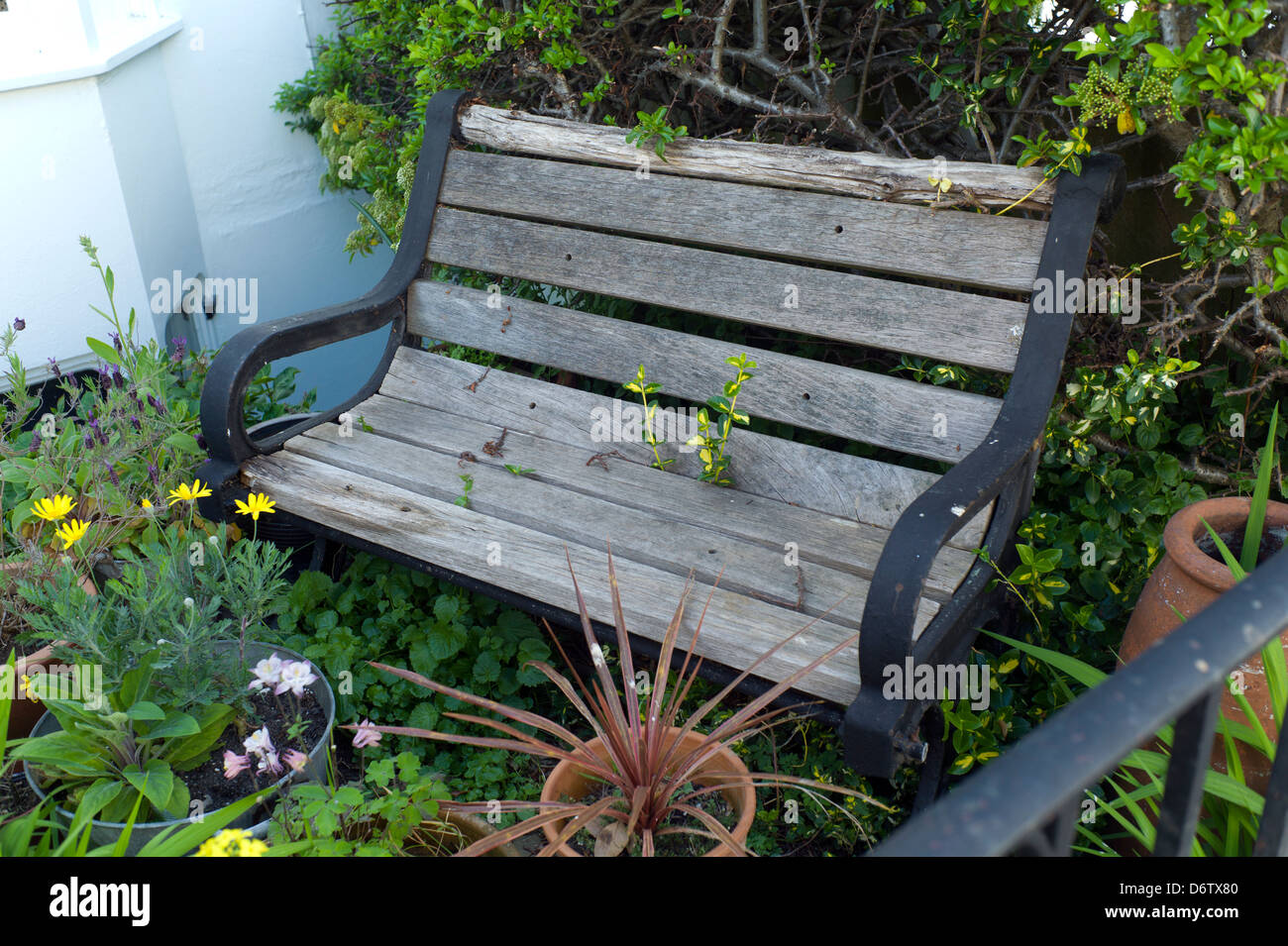 old wooden bench in overgrown garden Stock Photo - Alamy
