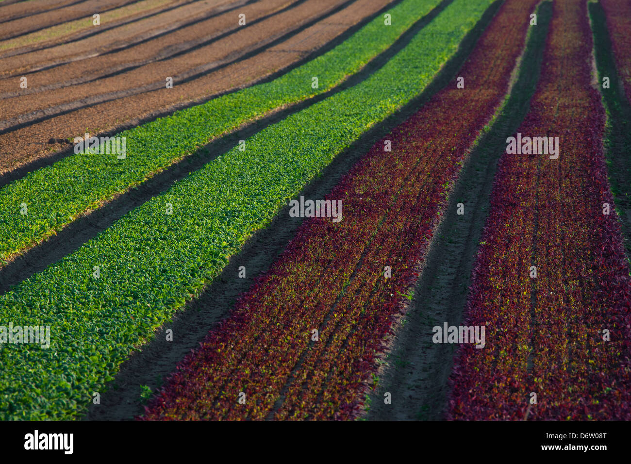 Field patches hi-res stock photography and images - Alamy